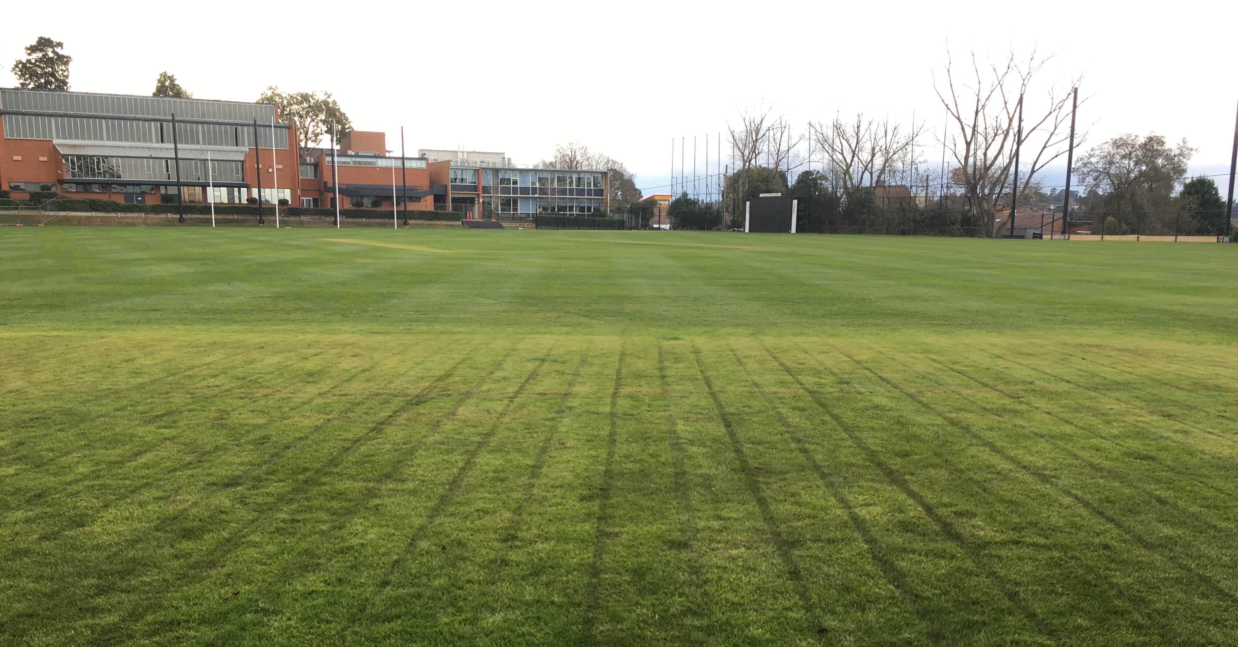 Natural Turf Installation for Ivanhoe Grammar by SPORTENG