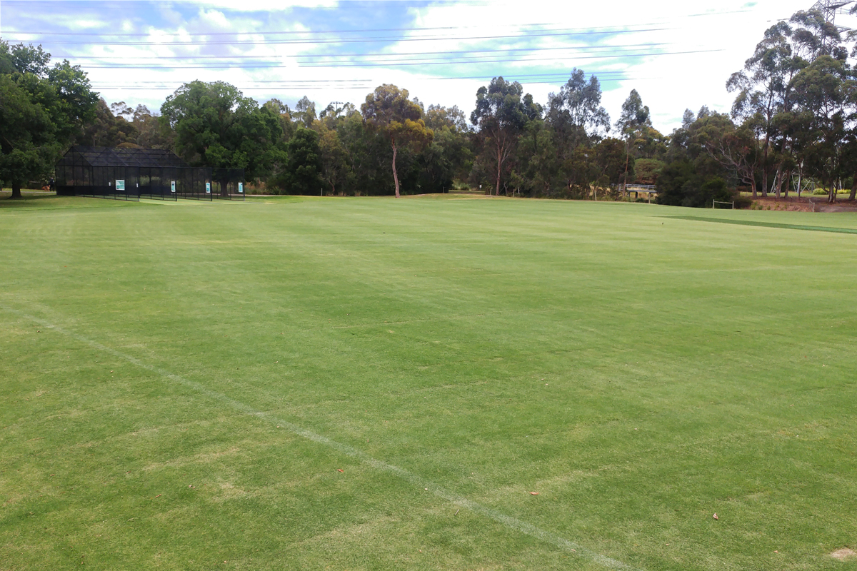 Planning & Design of Sports Fields of Play - Engineering Excellence ...