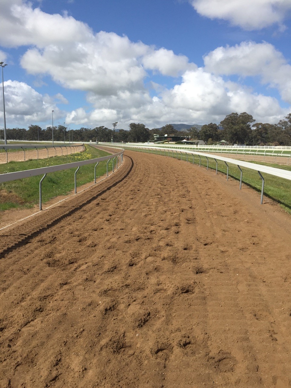 Seymour Racecourse Redevelopment into Synthetic Turf Track