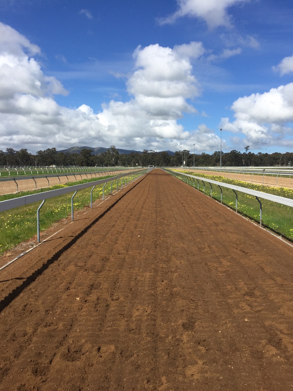 Seymour Racecourse Redevelopment into Synthetic Turf Track