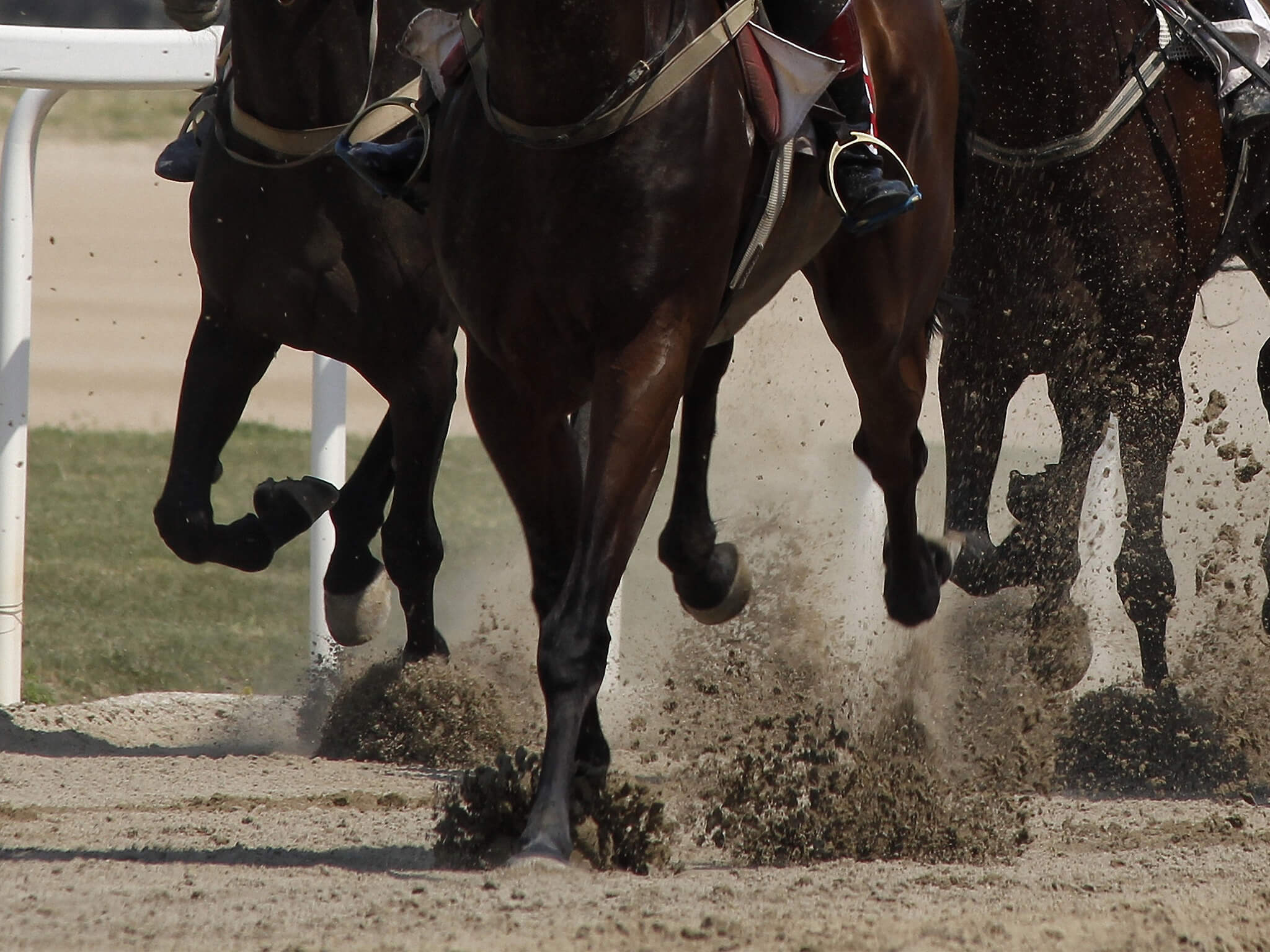 Seymour Racecourse Redevelopment into Synthetic Turf Track