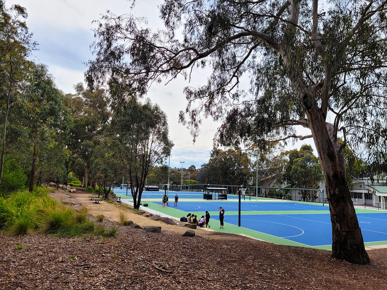 Sustainability Design for Waverley Netball Centre